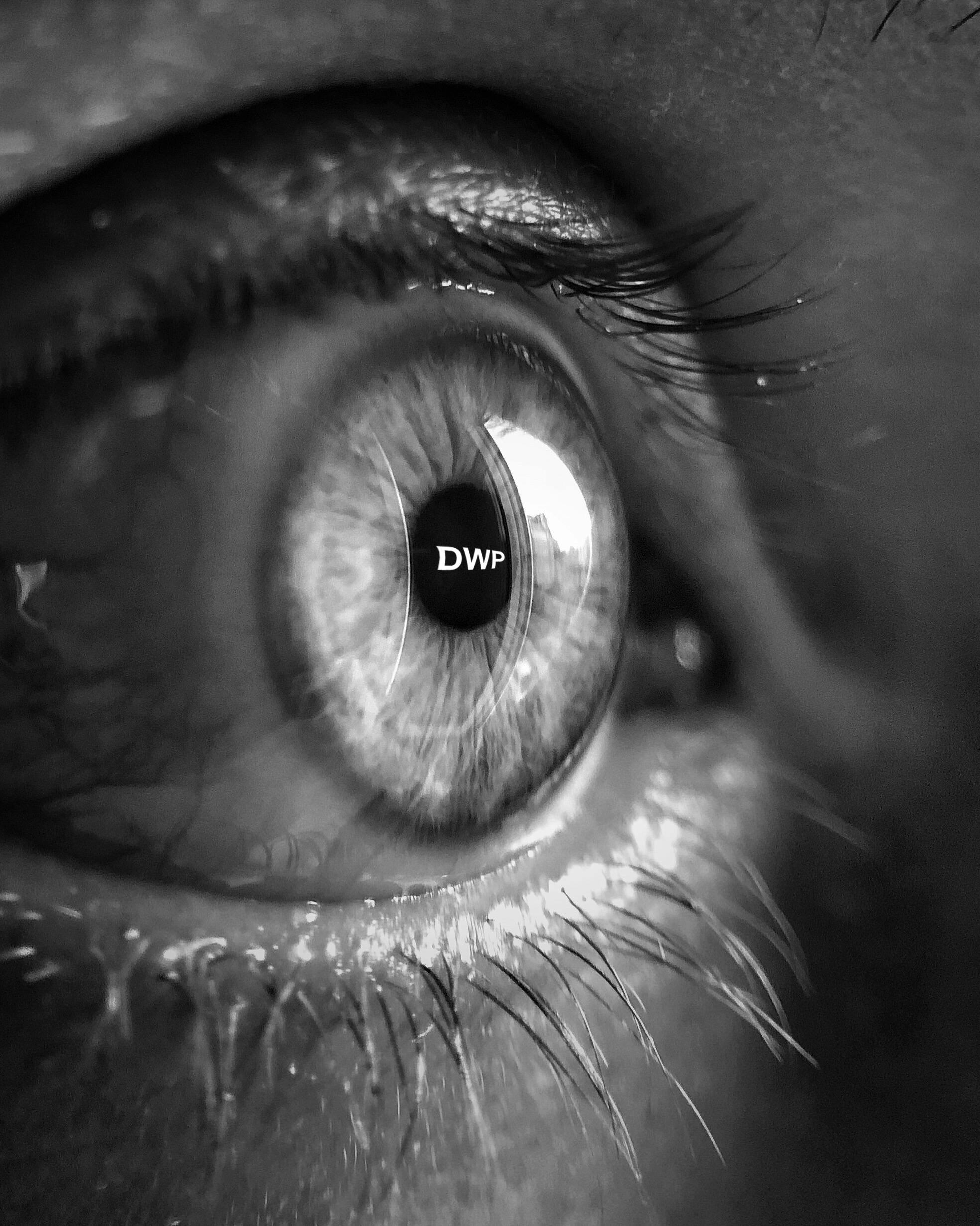 Mental Health & DWP Processes – Recovery in the Bin